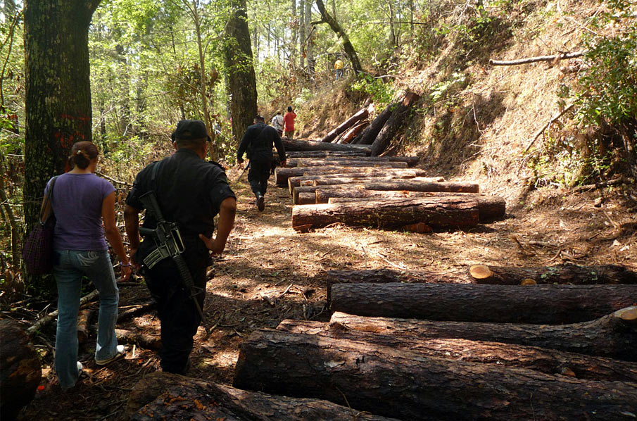 En defensa de la selva de Los Chimalapas (Oaxaca, sur de México)