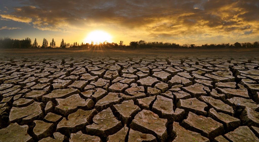 Las consecuencias de un verano muy seco y los daños de una gobernanza ...